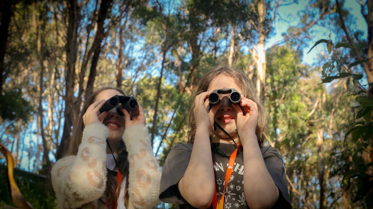 Otway Fly Treetop Adventures Walk - Visit Great Ocean Road