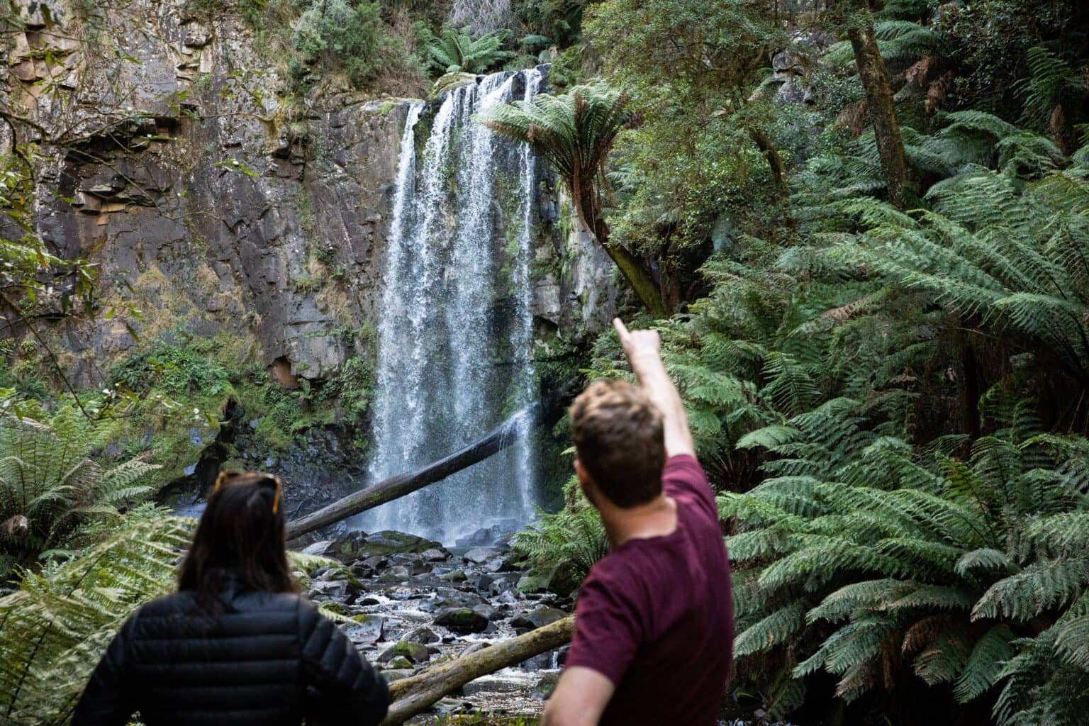 11 things to do in the Great Otway National Park - Visit Great Ocean Road